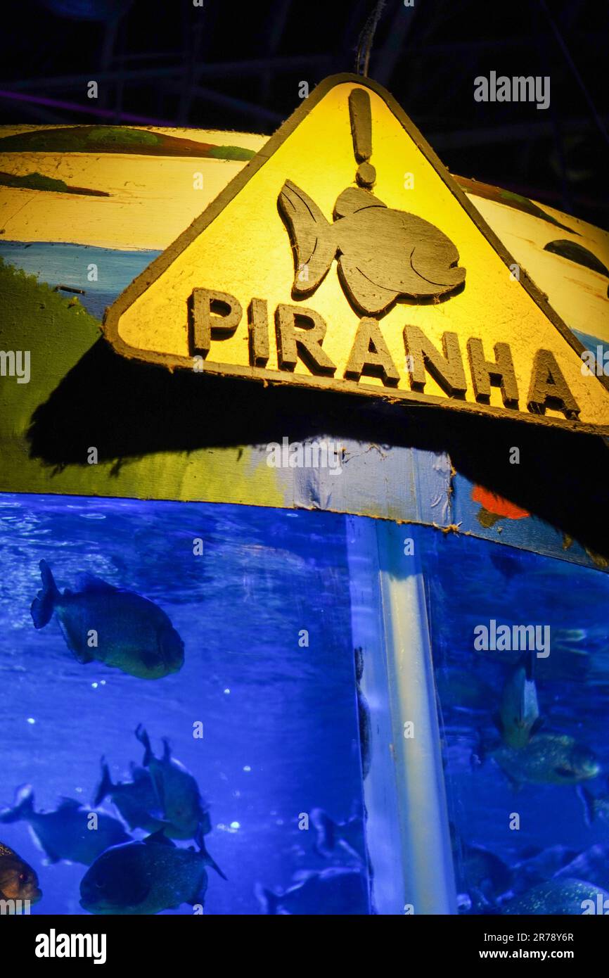 Warning piranha-infested aquarium brimming with danger Stock Photo - Alamy