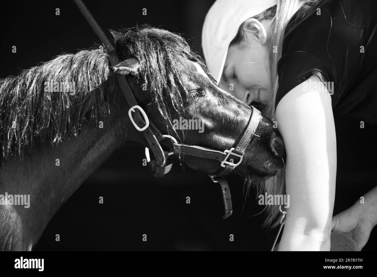 Emotional support pony hi-res stock photography and images - Alamy