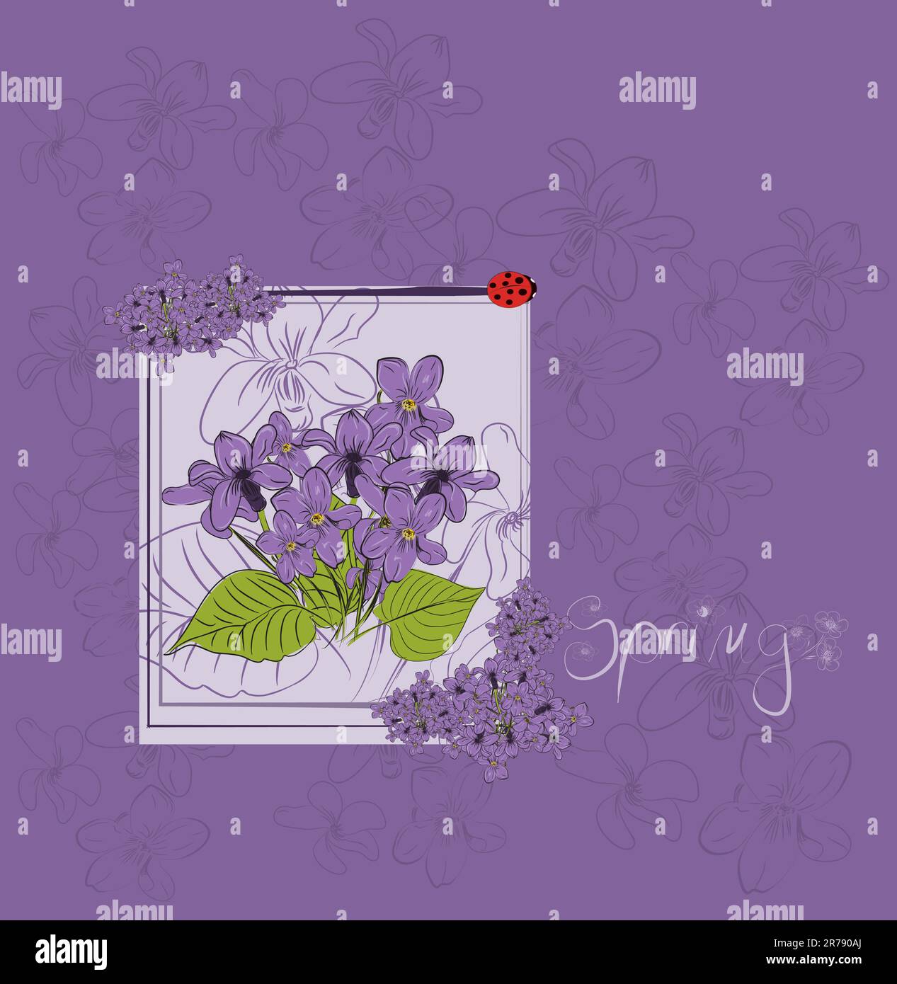 Violet card hi-res stock photography and images - Alamy