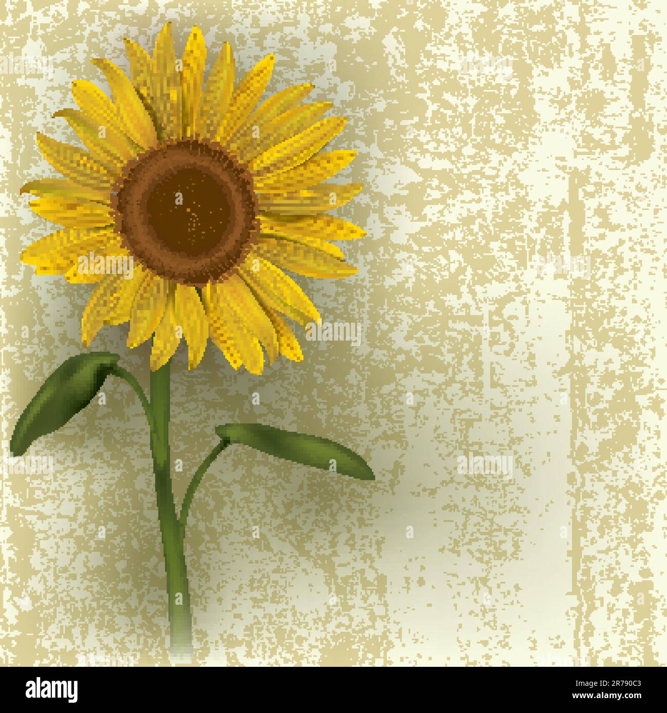 grunge floral illustration with sunflower on beige Stock Vector Image ...