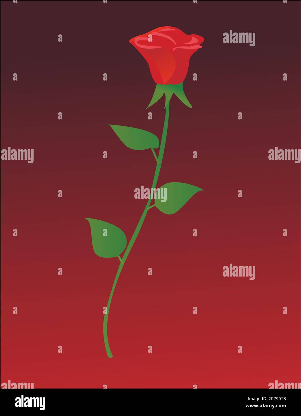 Vector illustration of single red rose Stock Vector Image & Art - Alamy