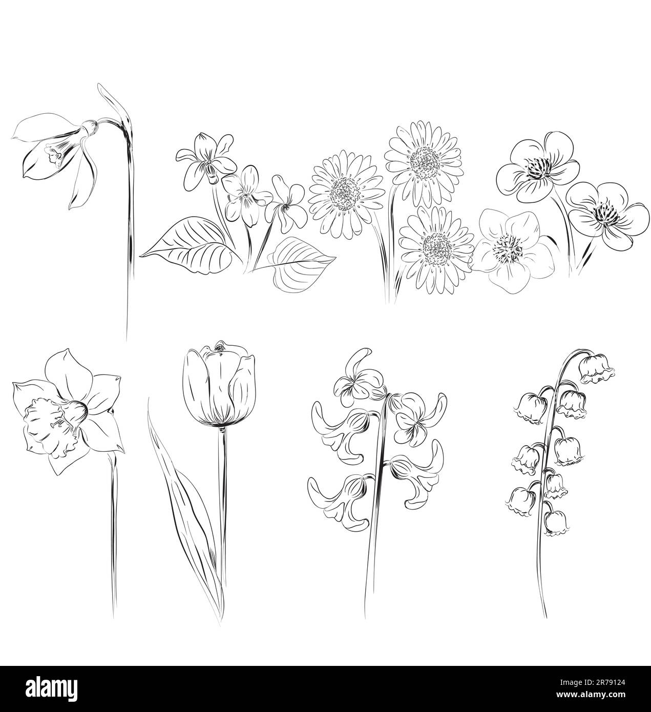 collection of flower sketches Stock Vector Image & Art - Alamy