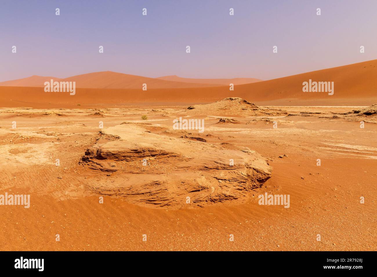 Impression of the massive sanddunes that comprise the Sossusvlei of ...