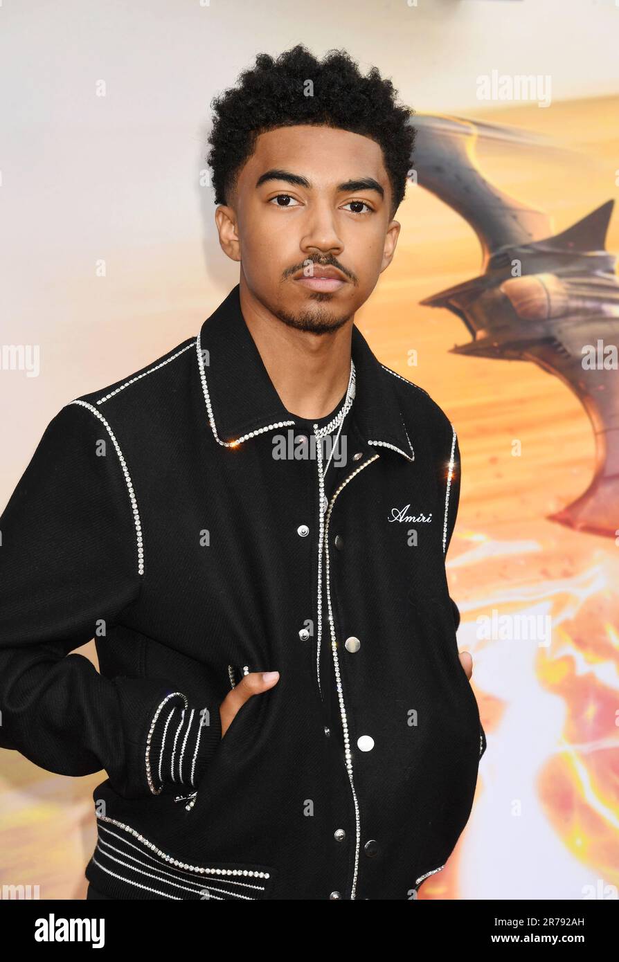 HOLLYWOOD, CALIFORNIA - JUNE 12: Miles Brown attends the Los Angeles ...