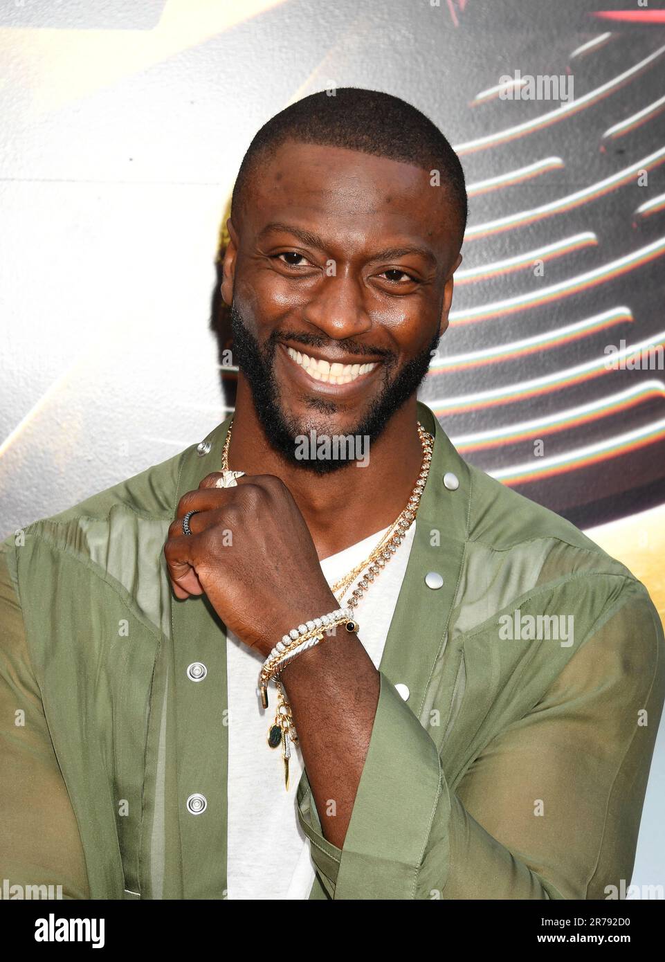 HOLLYWOOD, CALIFORNIA - JUNE 12: Aldis Hodge attends the Los Angeles ...
