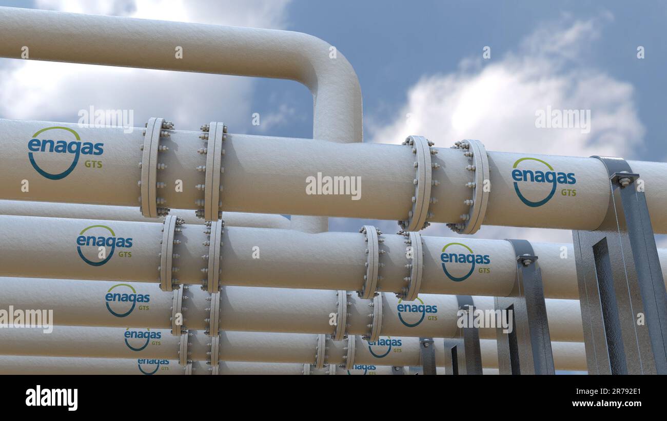Enagas Detailed depiction of secure flange connections used in a gas ...