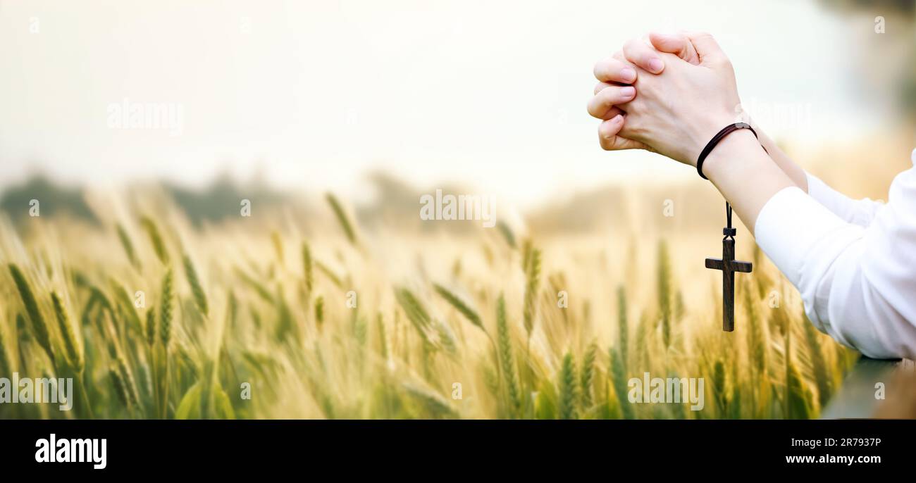 Praying christian and cross and thanksgiving and thanksgiving barley ...