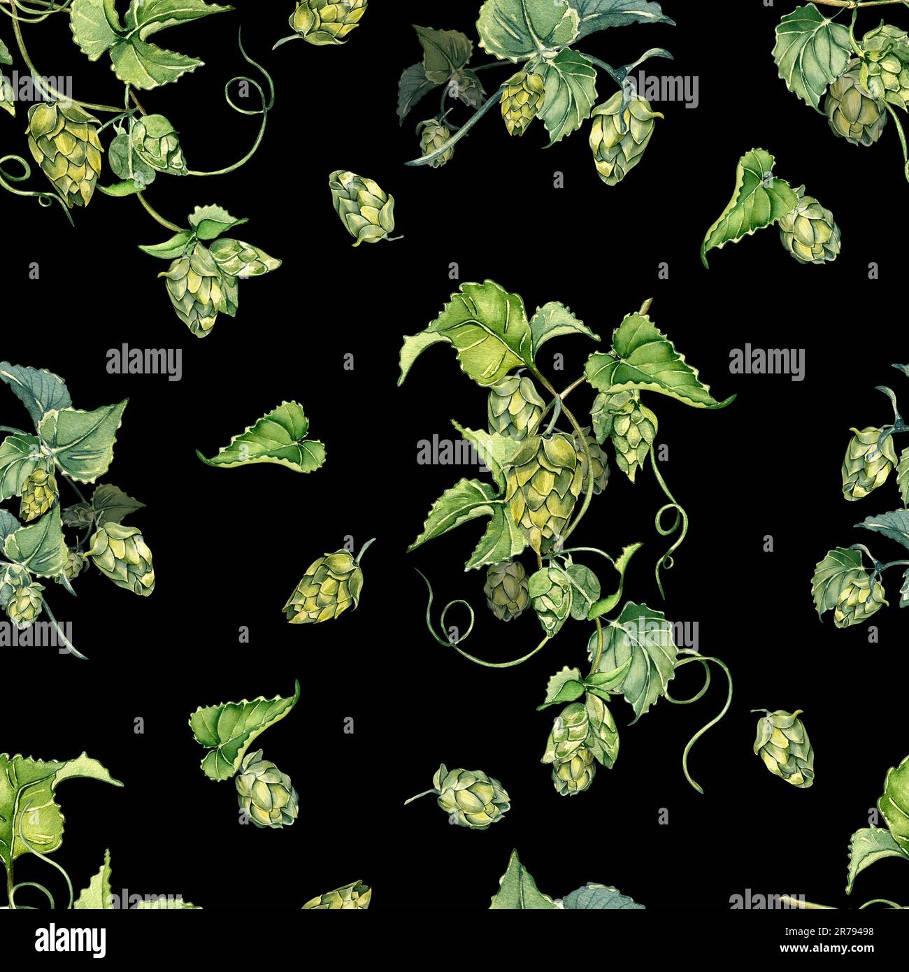 Hop vine, plant humulus watercolor seamless pattern isolated on black background. Hop on brunch ...