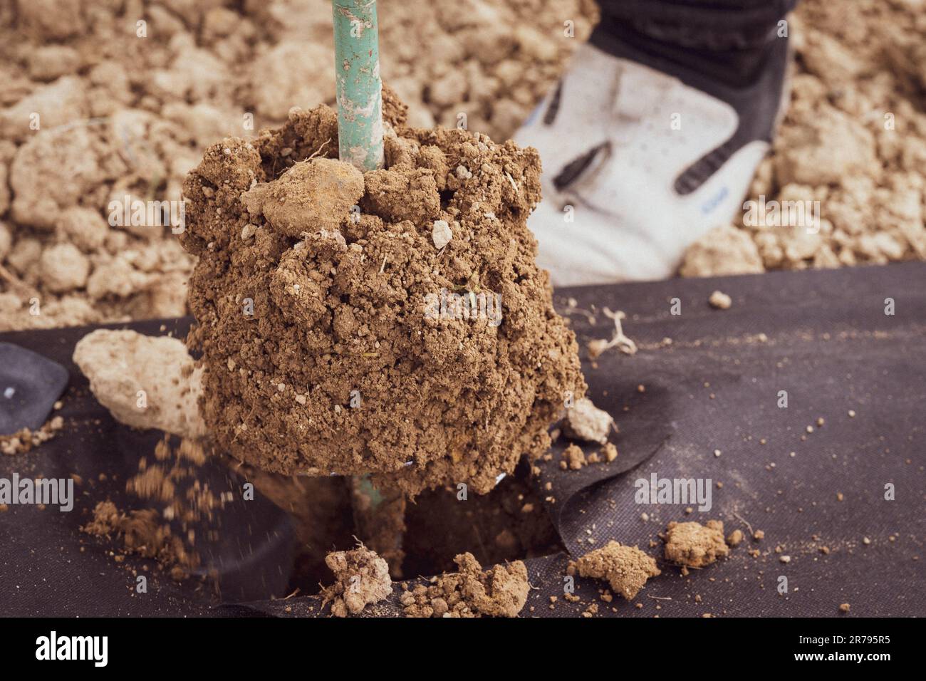 A man drills a hole with a hand drill through agro fiber, field and ...