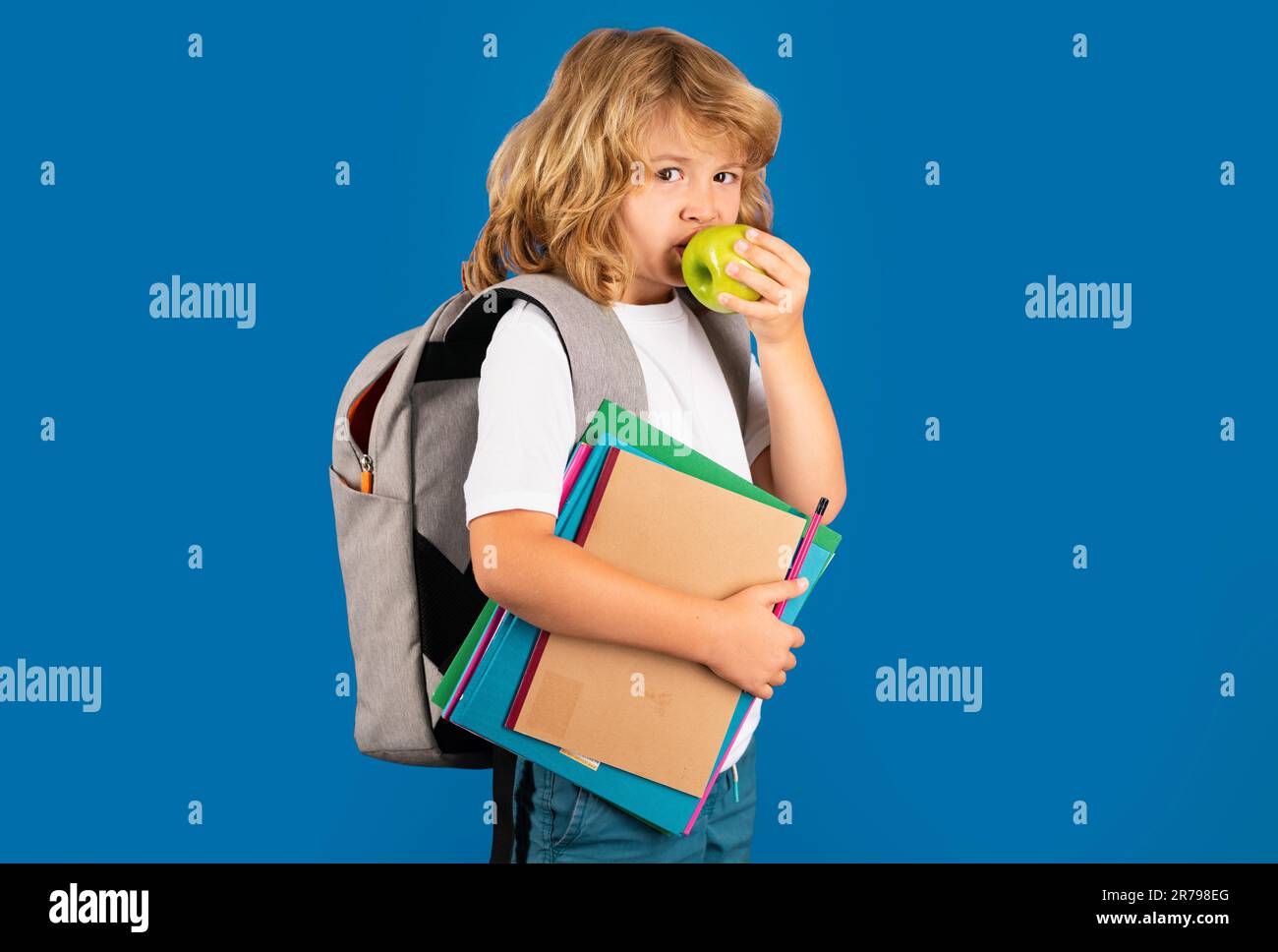 Portrait of pupil student hold book on blue isolated studio background ...