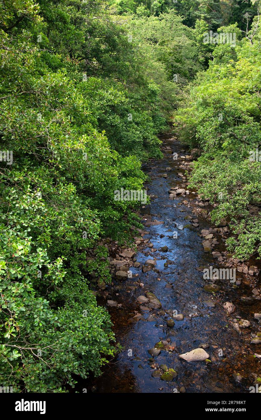River allendale hi-res stock photography and images - Alamy