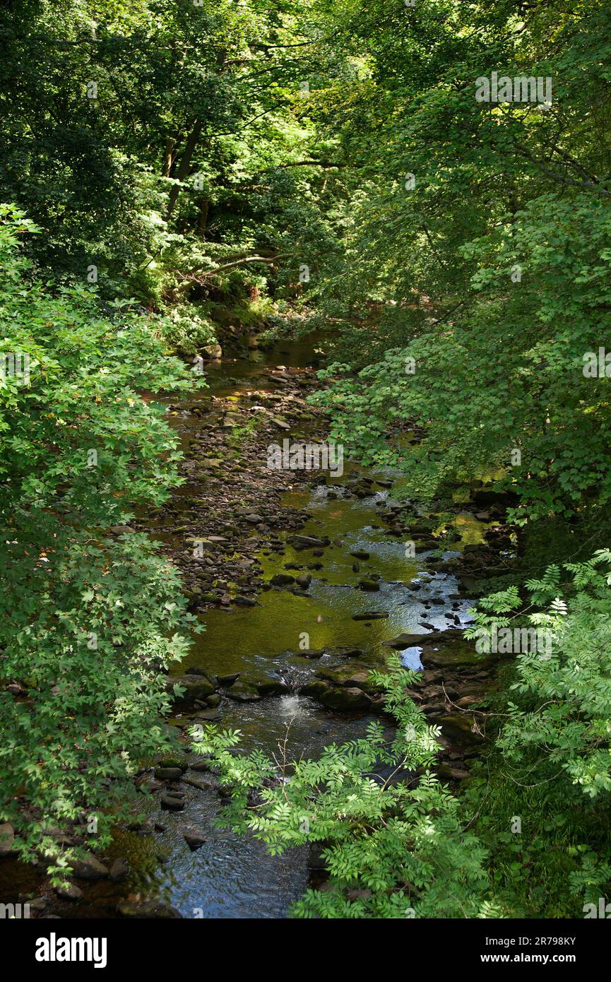 The River Allen, Allendale, Northumberland Stock Photo - Alamy