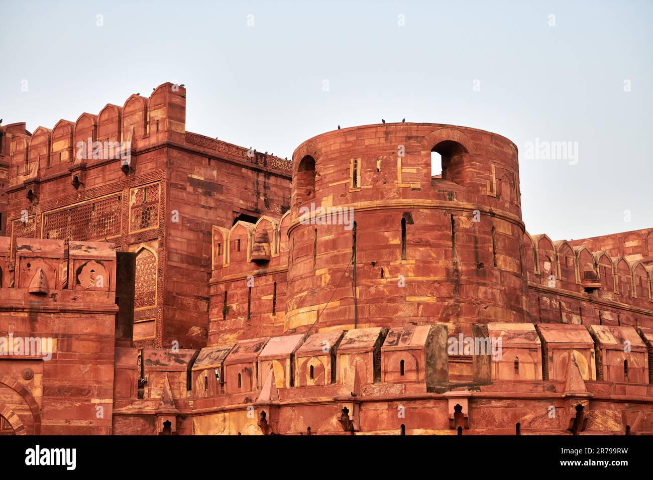 Walls of Agra red fort in India, view from main entrance Amar Singh ...