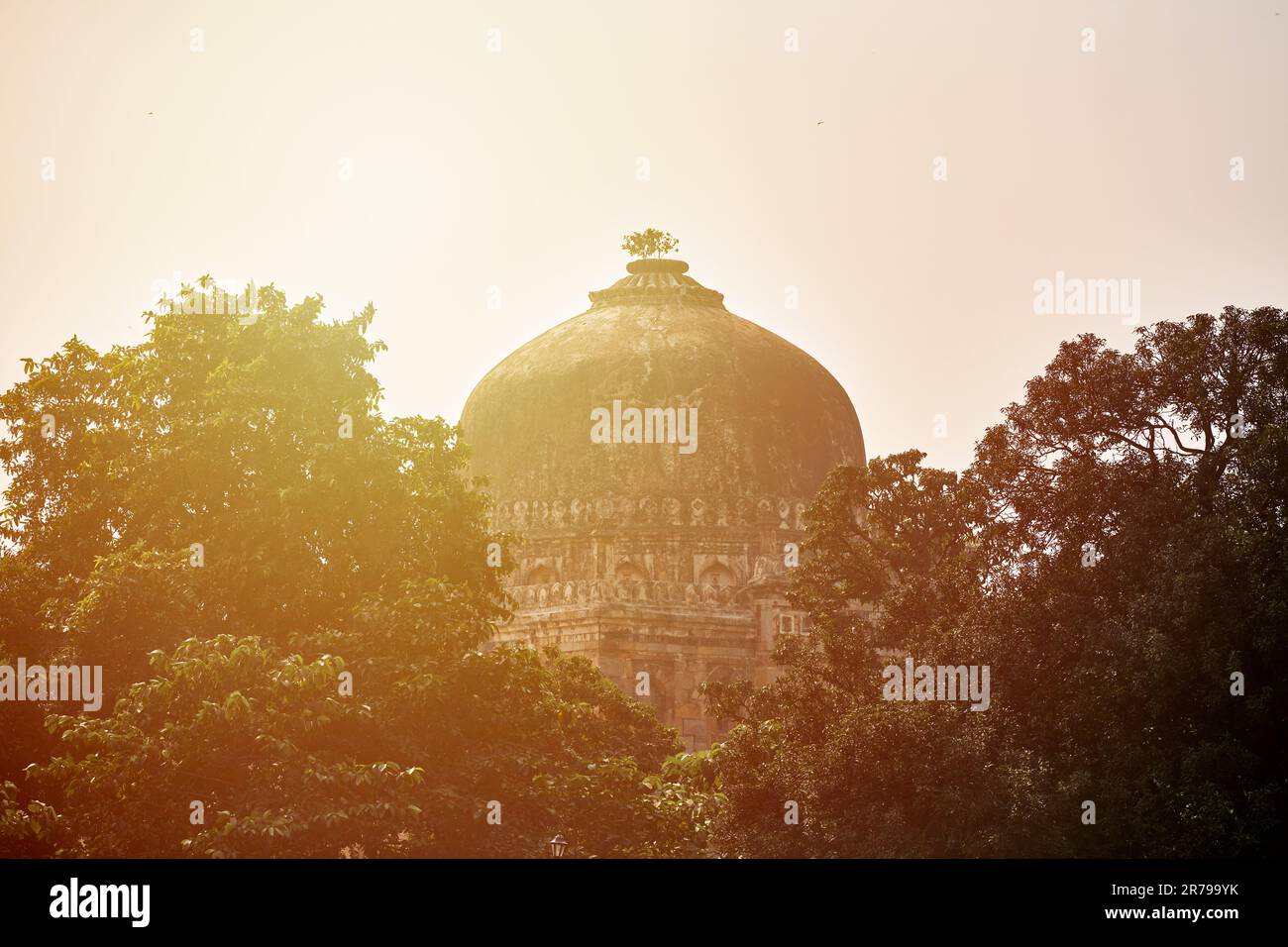 Dome of Shish Gumbad tomb in New Delhi Lodhi garden, India, ancient ...