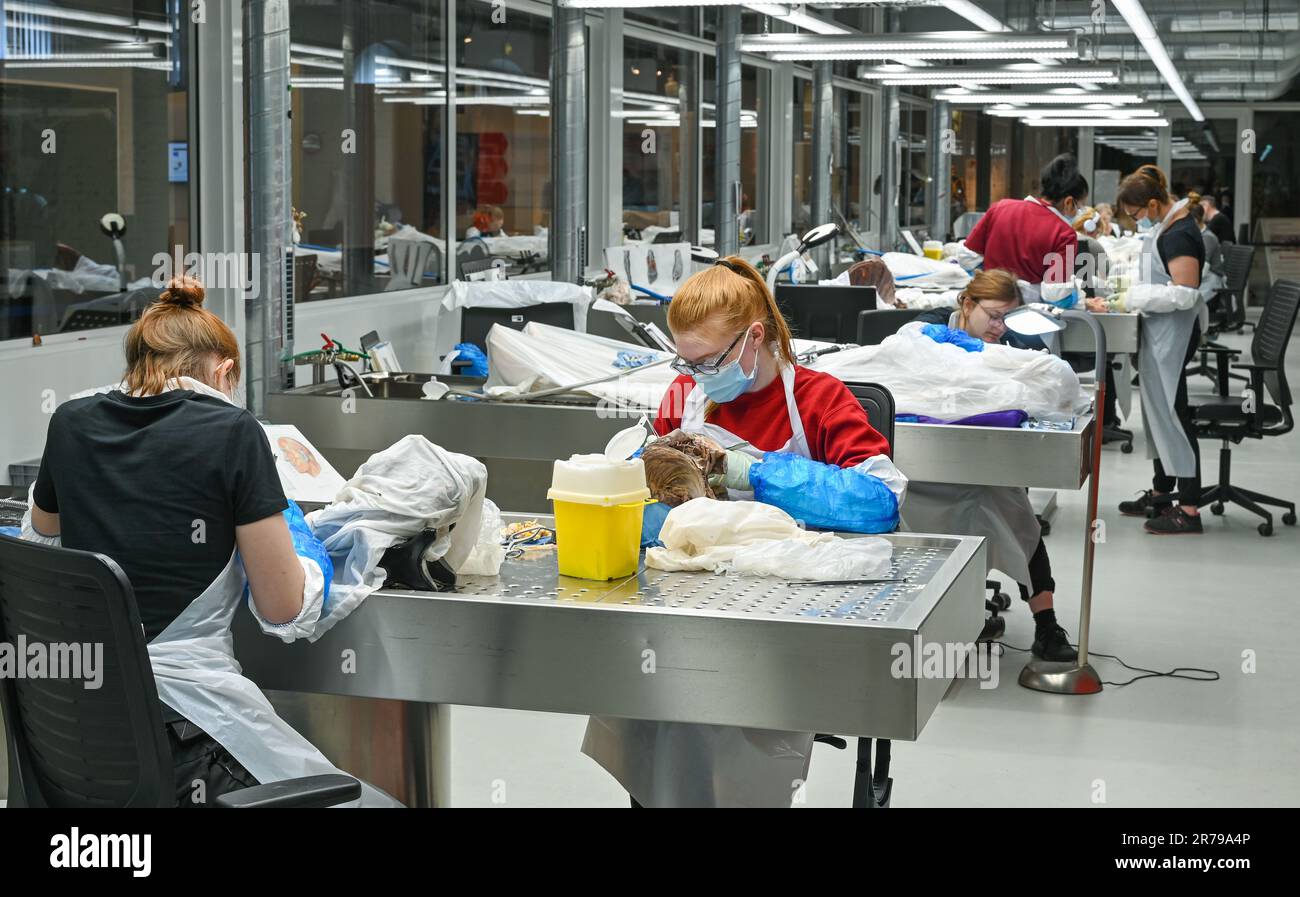 Female cadaver hi-res stock photography and images - Alamy