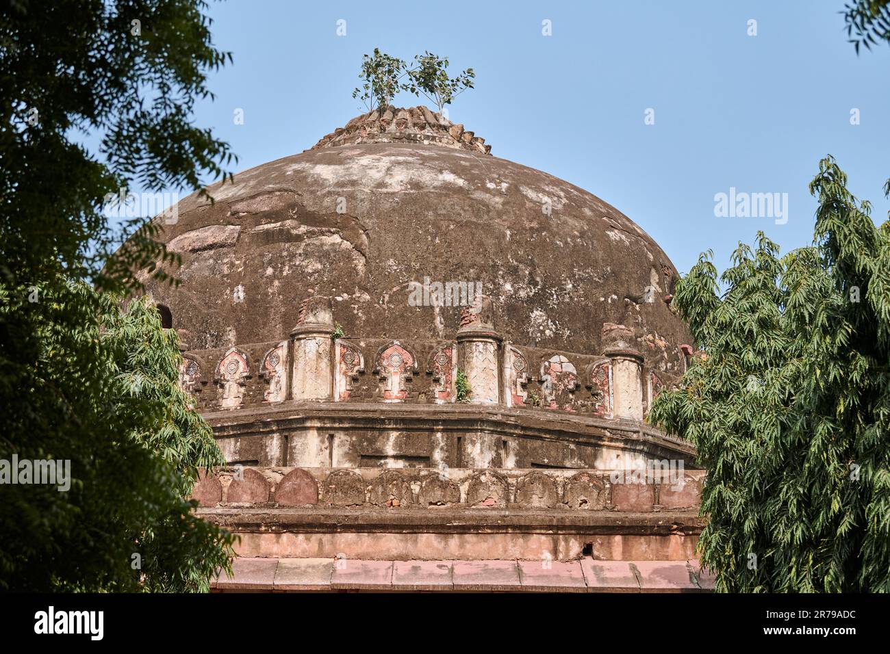Dome of Shish Gumbad tomb in New Delhi Lodhi garden, India, ancient ...