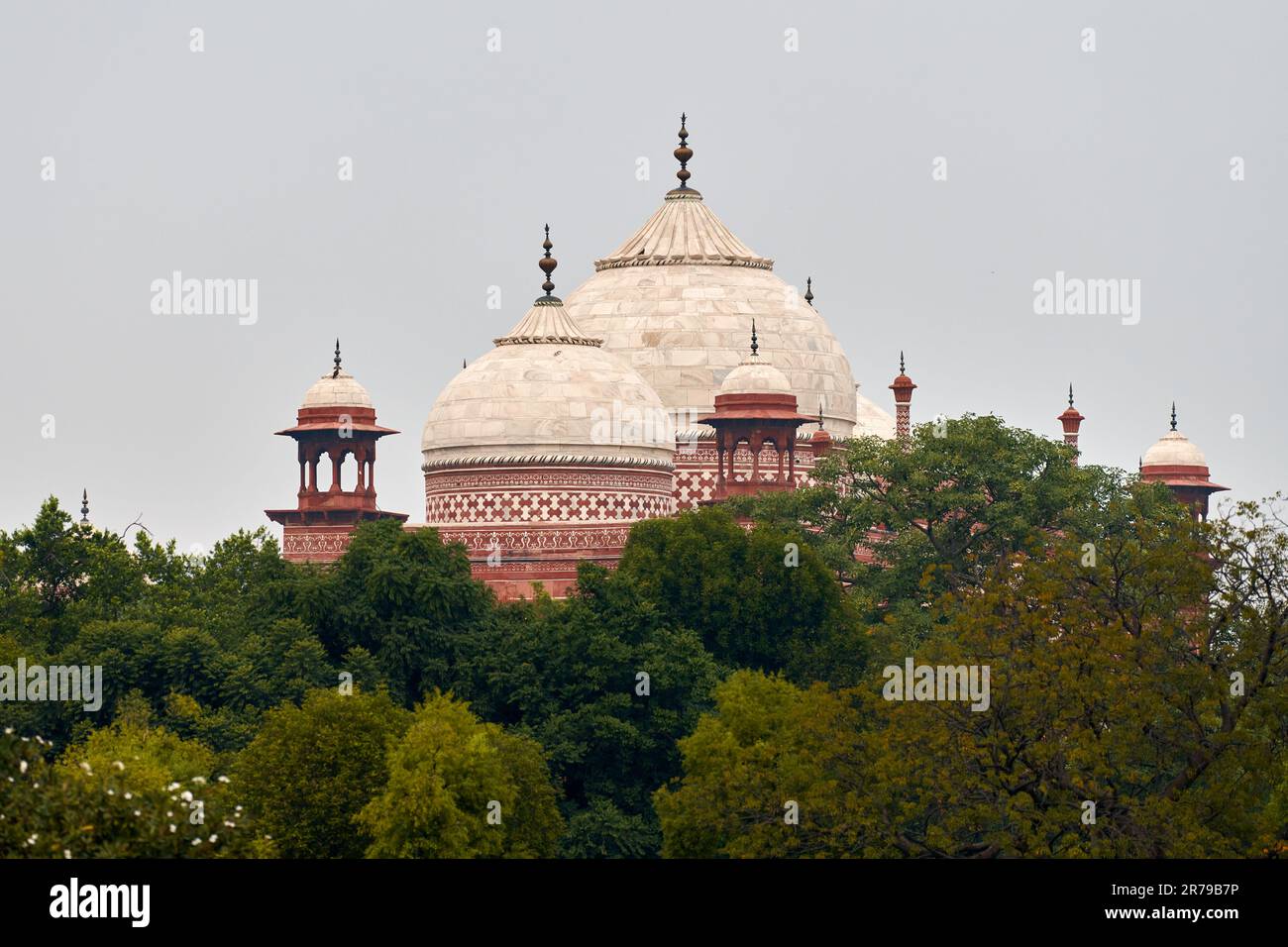 Close up Taj Mahal dome white marble mausoleum landmark in Agra, Uttar ...