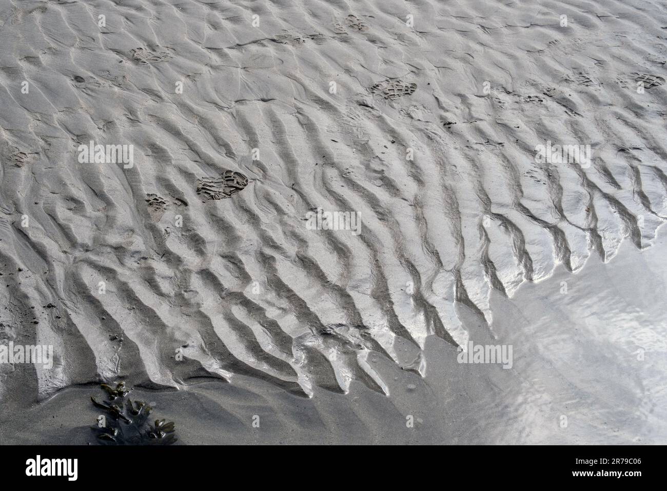Detail of footprints in the sand with patterns and seaweed at water’s ...