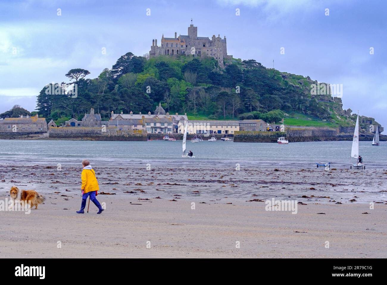 Female walks her dog on Marazion Beach. St Michael’s Mount across Mount ...