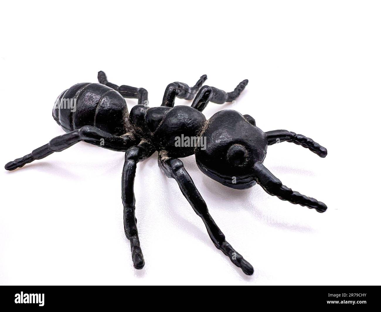 A close-up image of a large black ant, isolated on a plain white ...