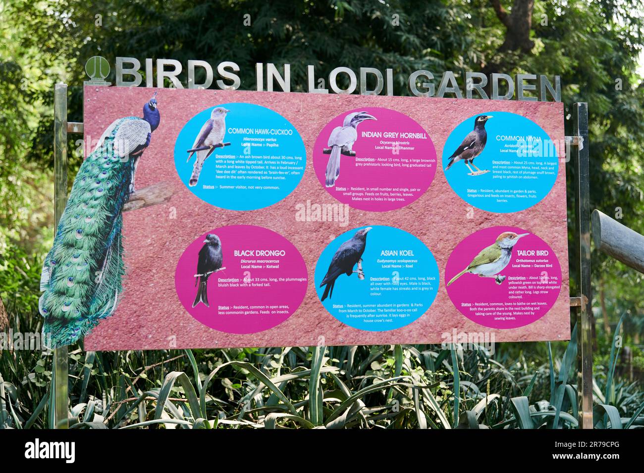 New Delhi, India - 11.11.2022 - Billboard with descriptions of bird ...