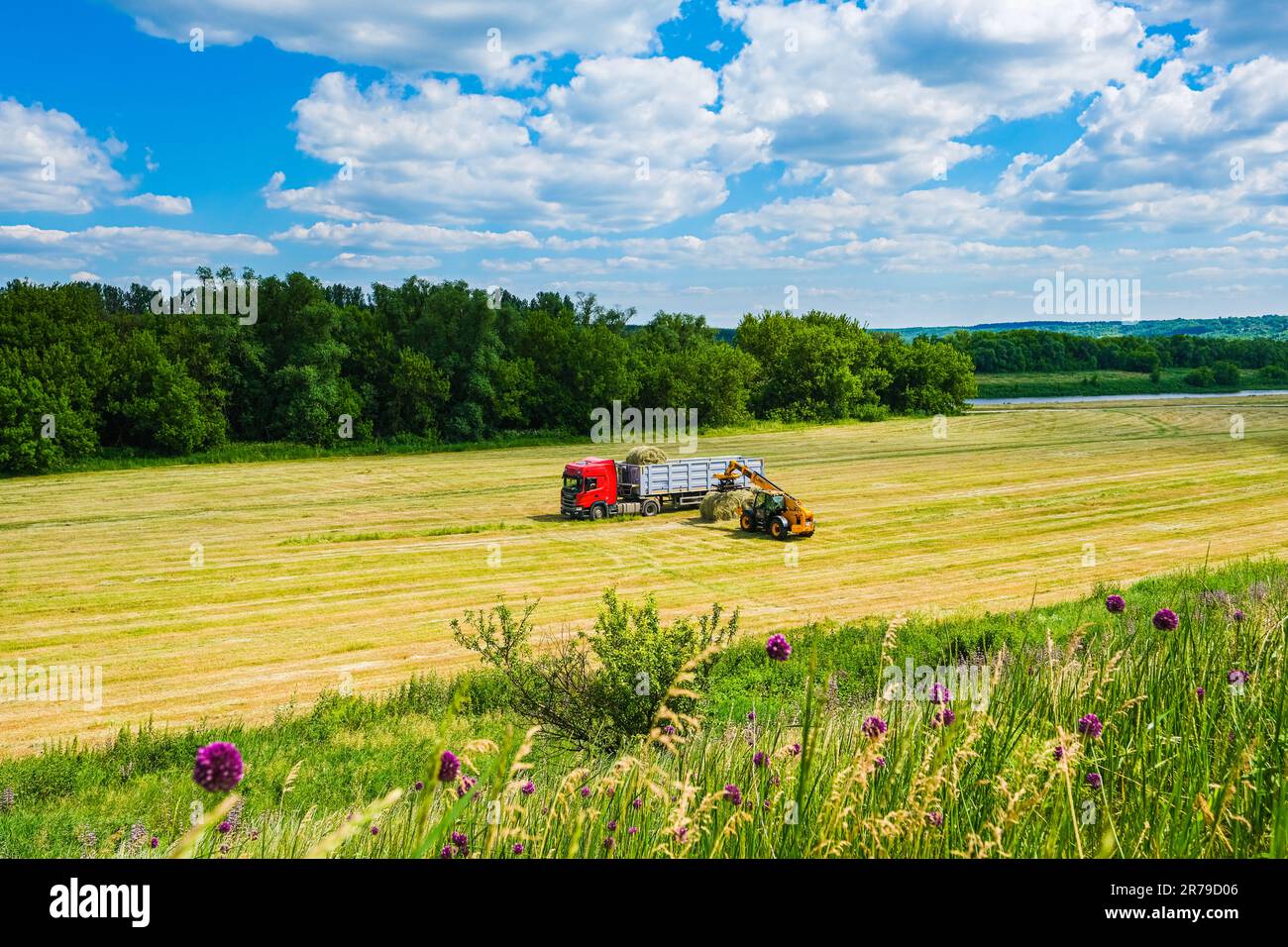 A ranch worker moving bales of hay with a farm tractor on a ranch Stock ...