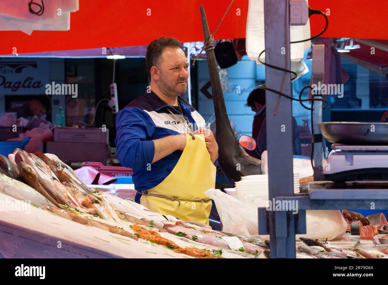 Men at work shop keepers stall owners in open air fresh fish meat ...