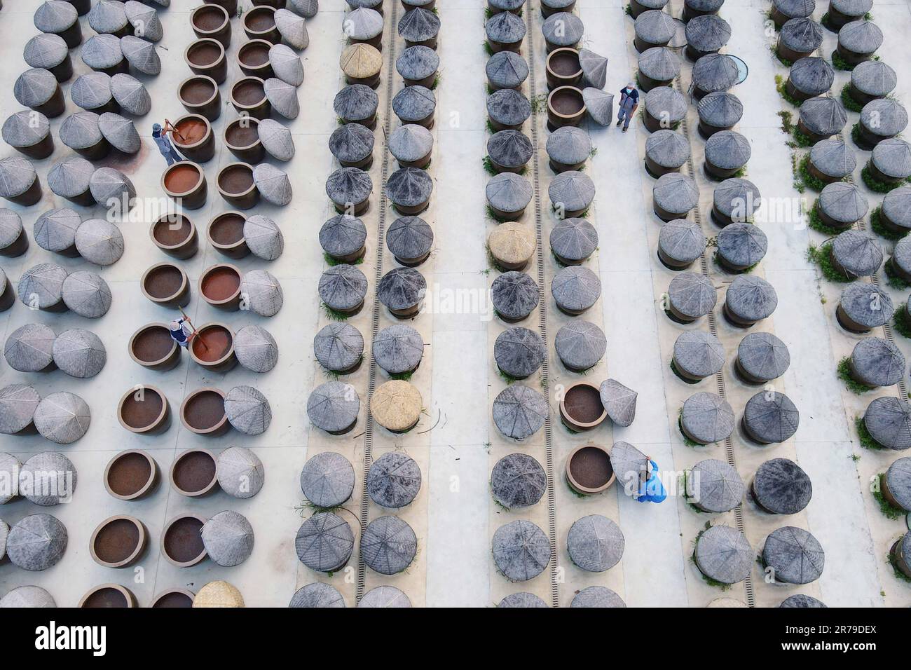 RUGAO, CHINA - JUNE 14, 2023 - A worker uses a wooden rake to stir ...
