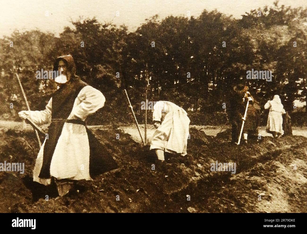 Monks working hi-res stock photography and images - Alamy