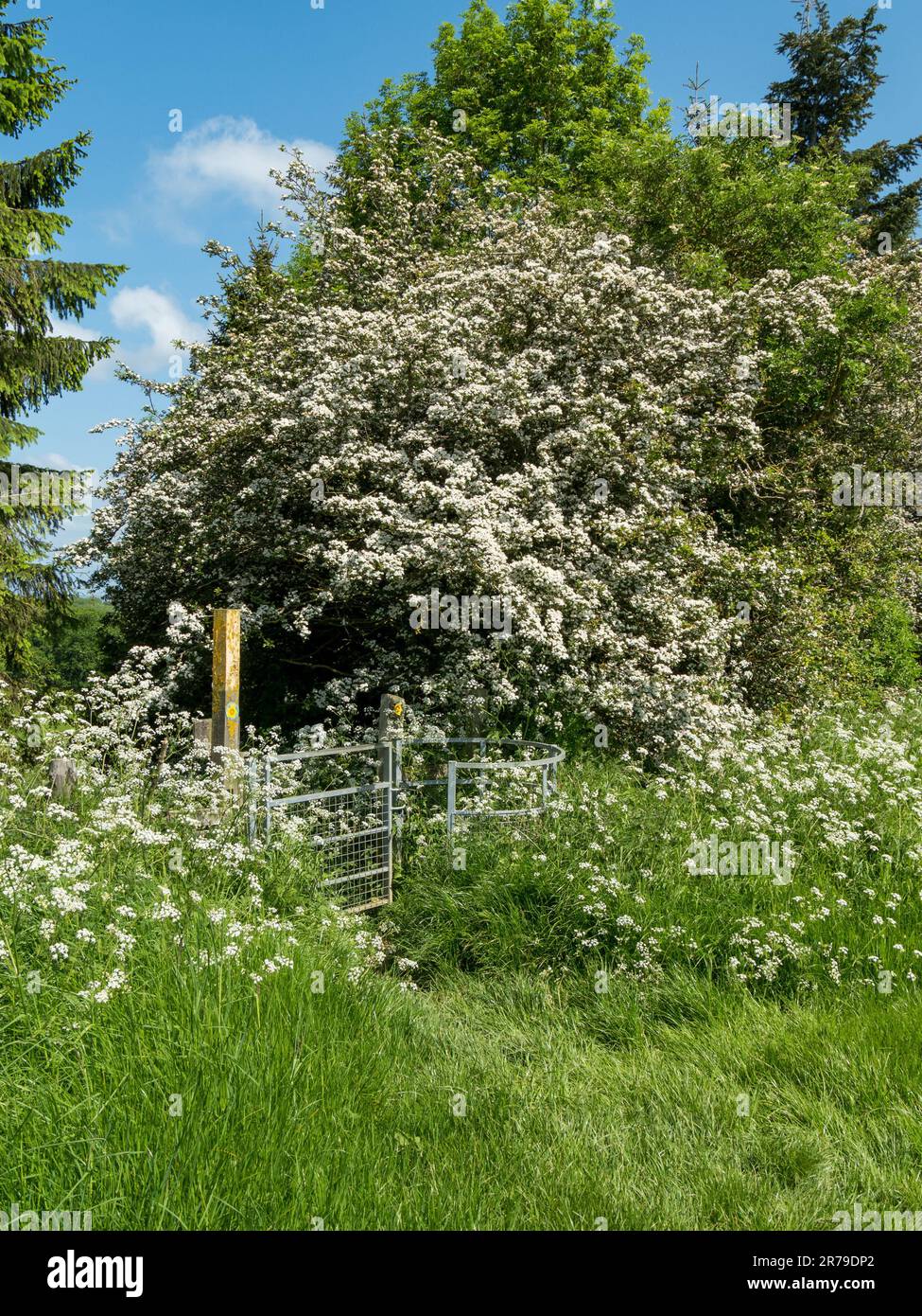 Leicestershire round footpath hi-res stock photography and images - Alamy