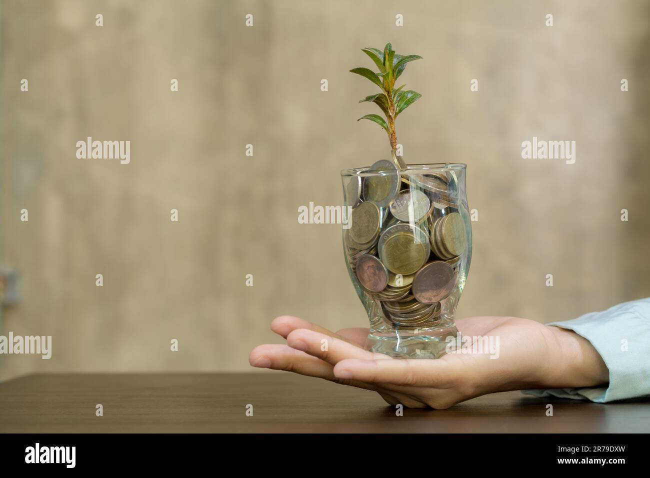 Plant growing from money (coins) in the glass jar held by a woman's ...