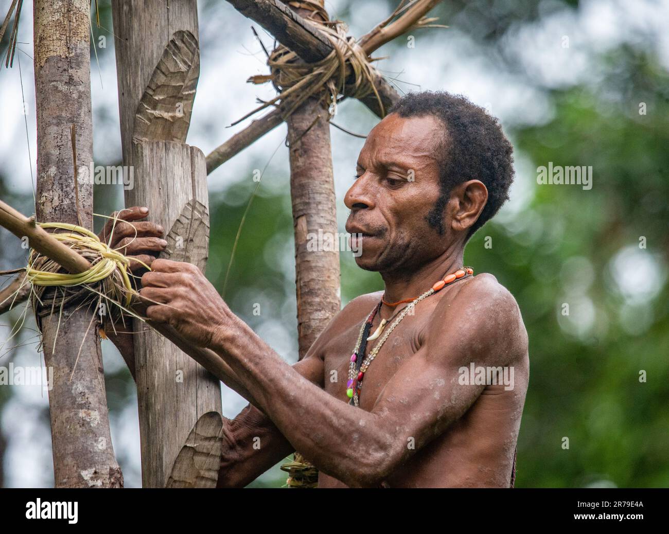 Man of the Korovai tribe is building a traditional house in the jungle ...
