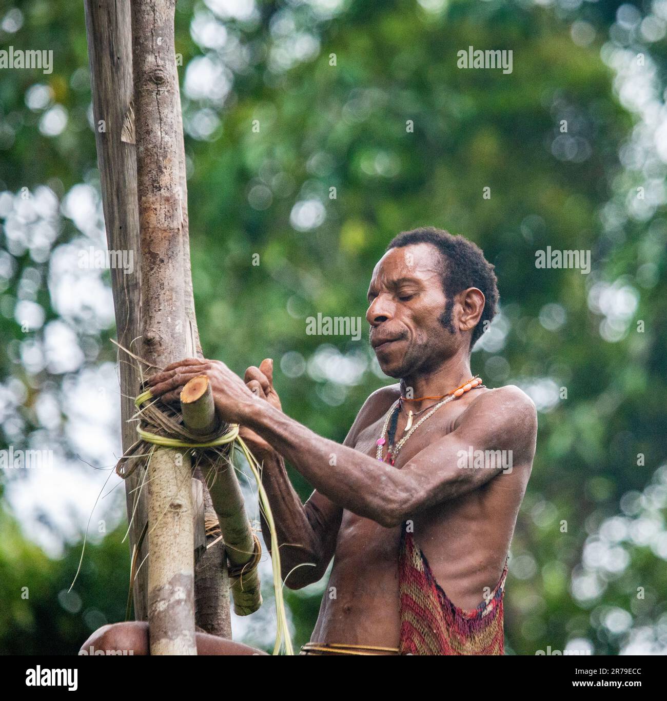 Kombai tribe tree house hi-res stock photography and images - Alamy