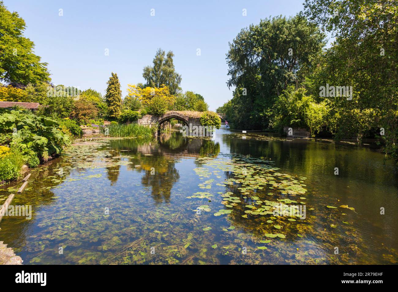 Picturesque landscaped views of Warwick Castle grounds in Warwickshire ...