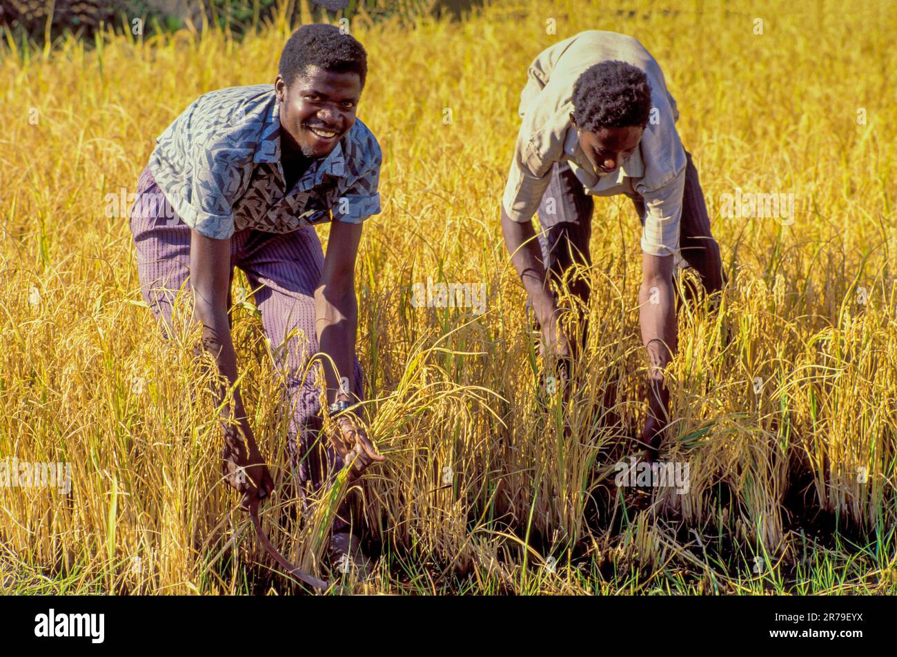 Western province zambia hi-res stock photography and images - Alamy