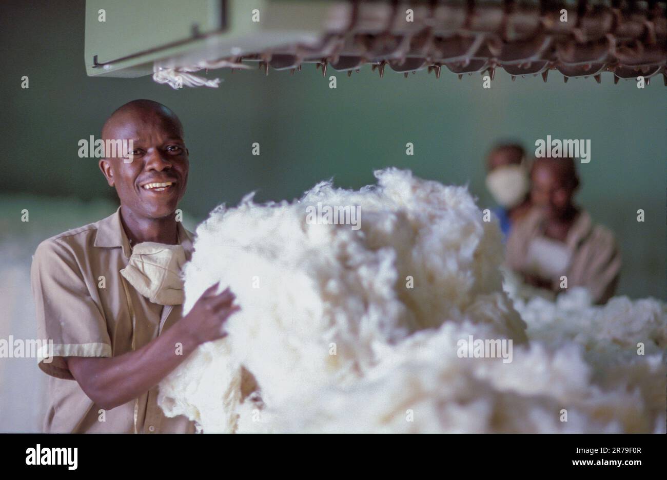 Zambia, Ndola, labourer of Swarp Spinning Mills with cotton Stock Photo ...