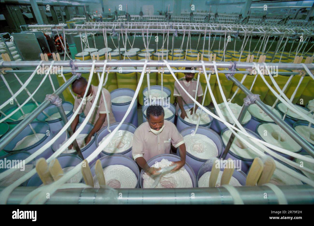 Zambia, Ndola, labourers of Swarp Spinning Mills with cotton yarn on ...