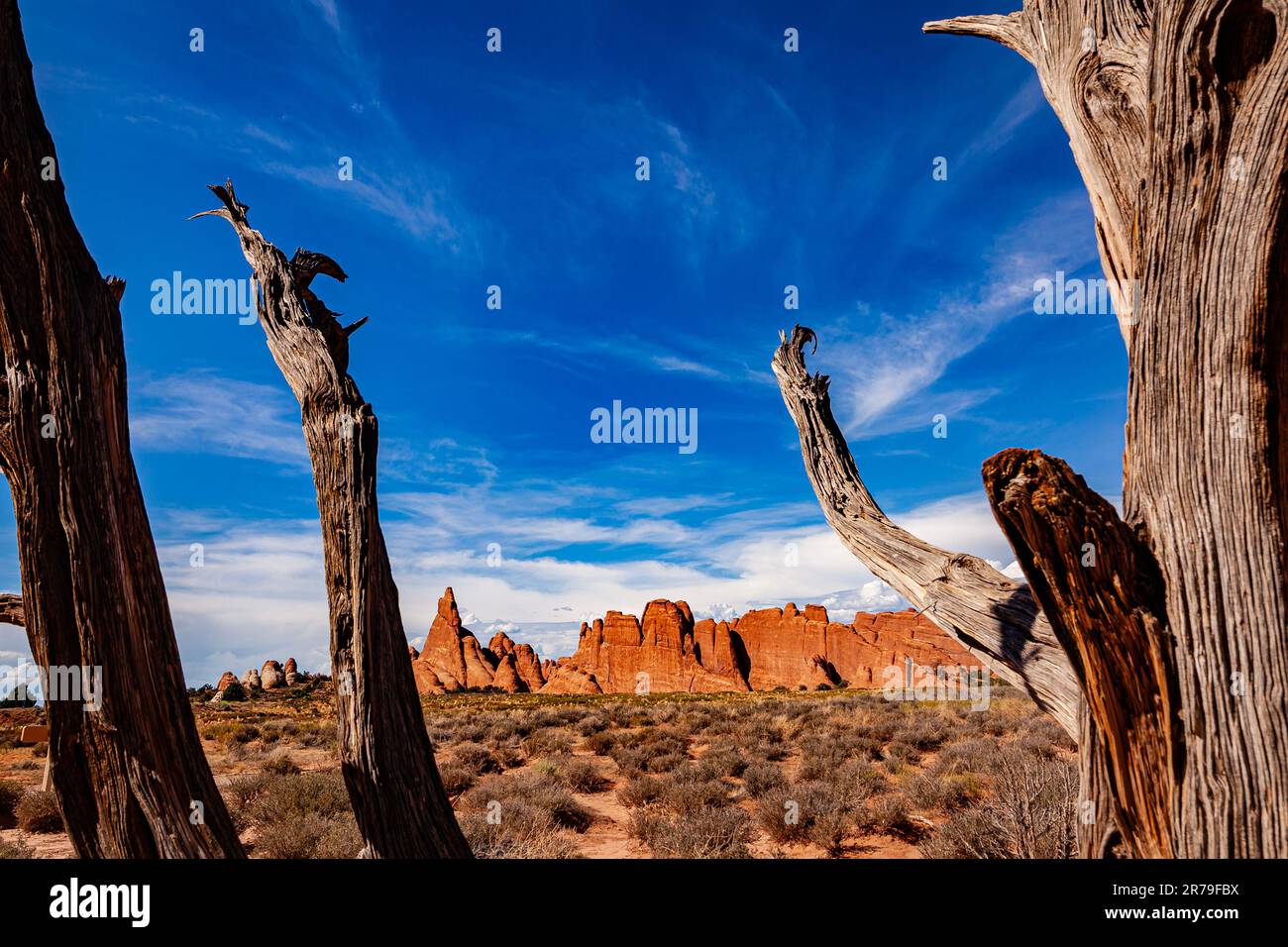 Dry logs in the foreground. Arches National Parks Utah The park has ...