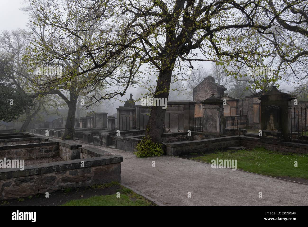 The Greyfriars Kirkyard on foggy day, historic graveyard in city of ...