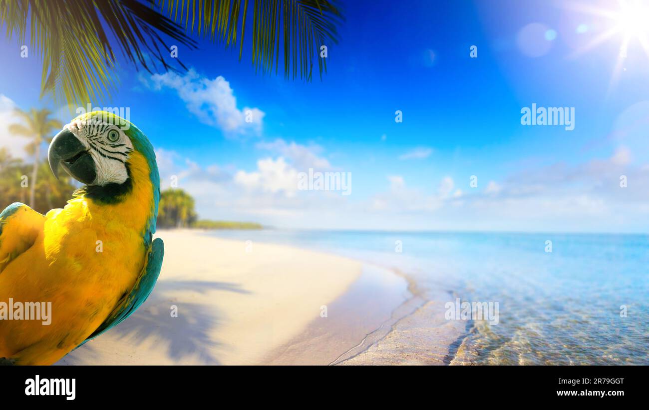 summer holiday on tropical sea sandy beach; banner design with copy ...