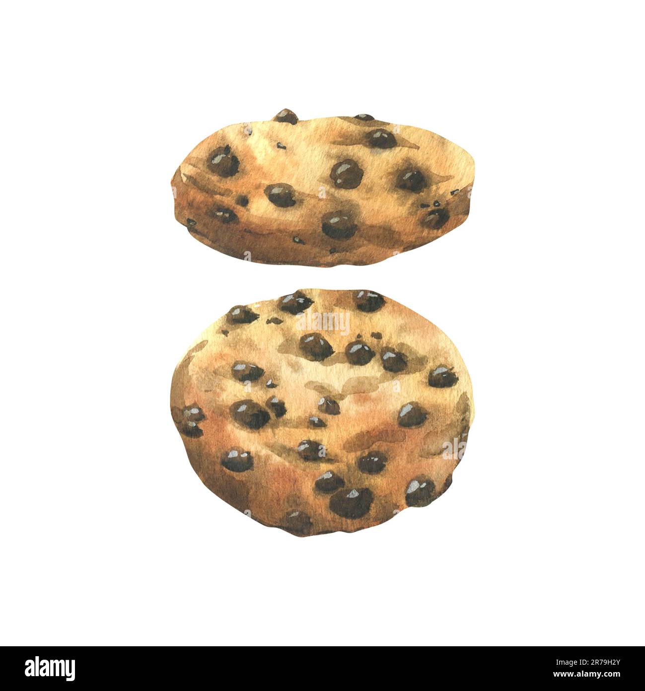 Perfect Chocolate Chip Cookie Drawing