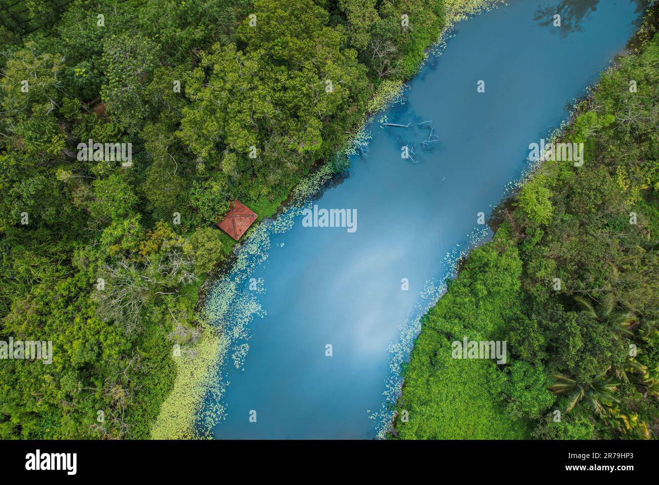 An aerial view of Private Lake Wayanad in Kerala, India Stock Photo - Alamy
