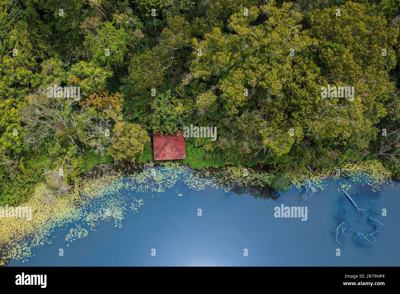 An aerial view of Private Lake Wayanad in Kerala, India Stock Photo - Alamy