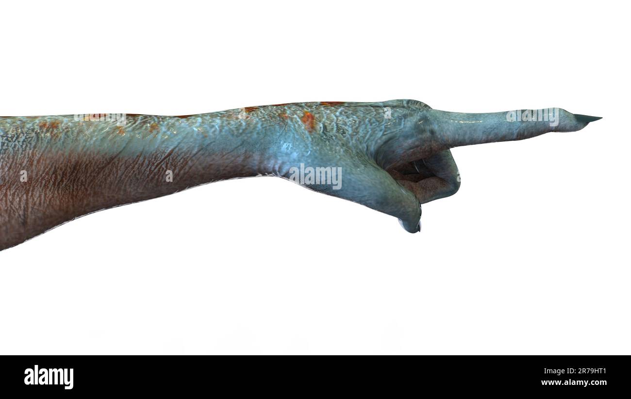 Humanoid alien hand isolated on white background, 3D illustration Stock ...