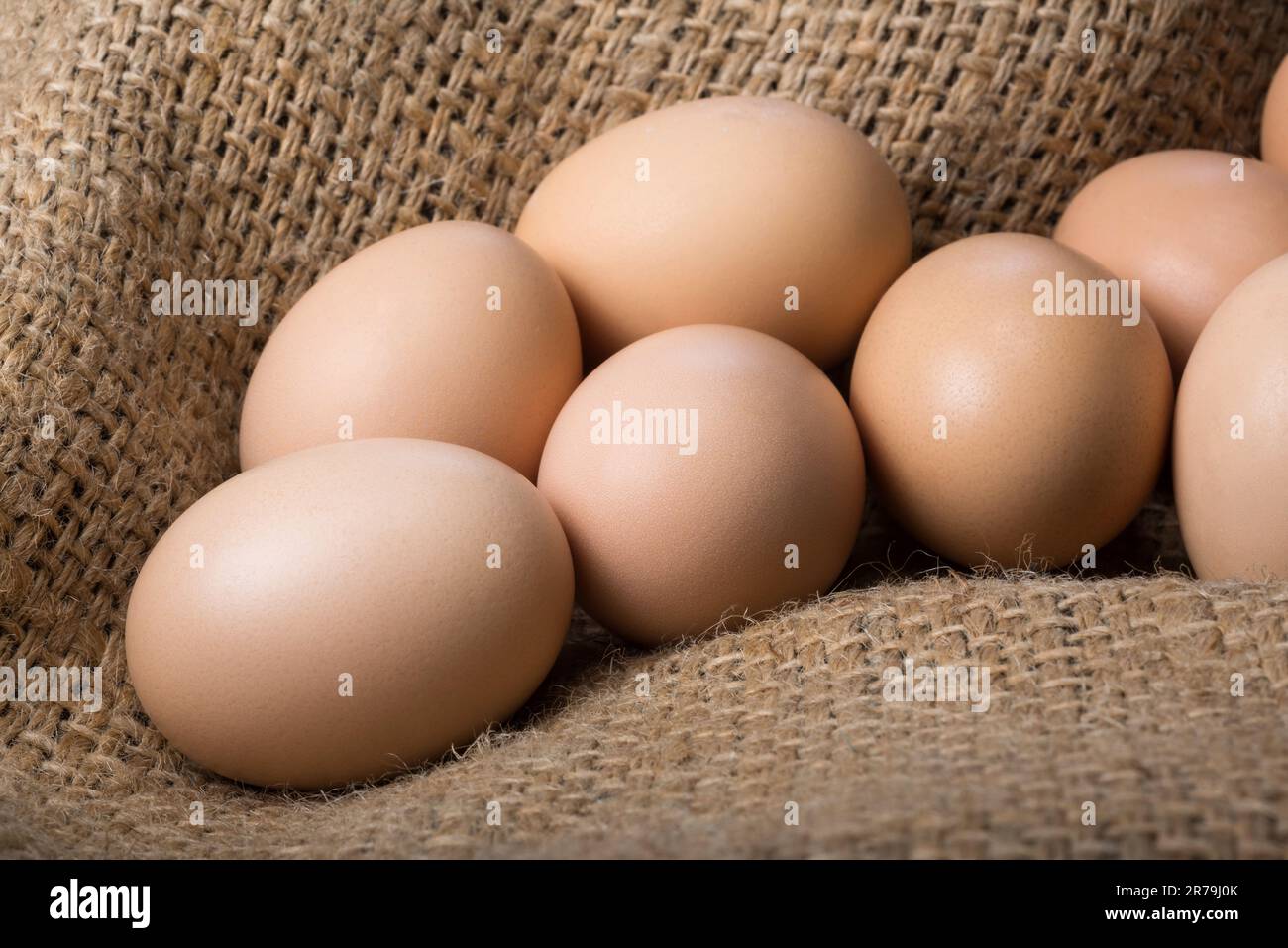 Close up of chicken eggs on a sack. Poultry farm, natural products ...