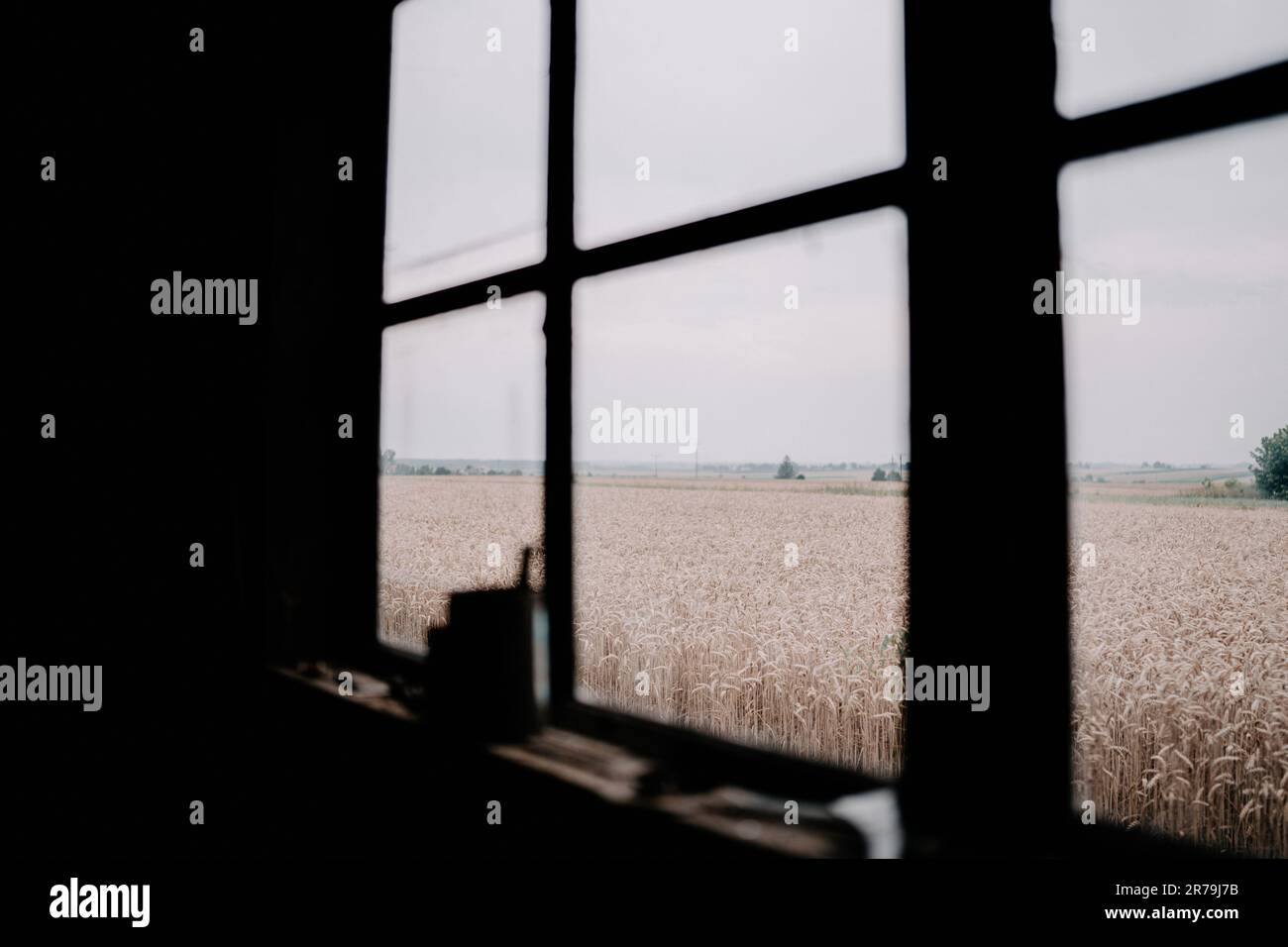 A view of a grassy field from the inside of a window, looking out Stock ...