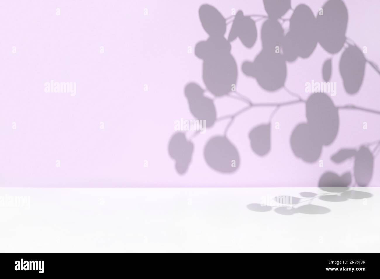 Plant shadows on violet color wall. Leaves shadow background. Branches ...