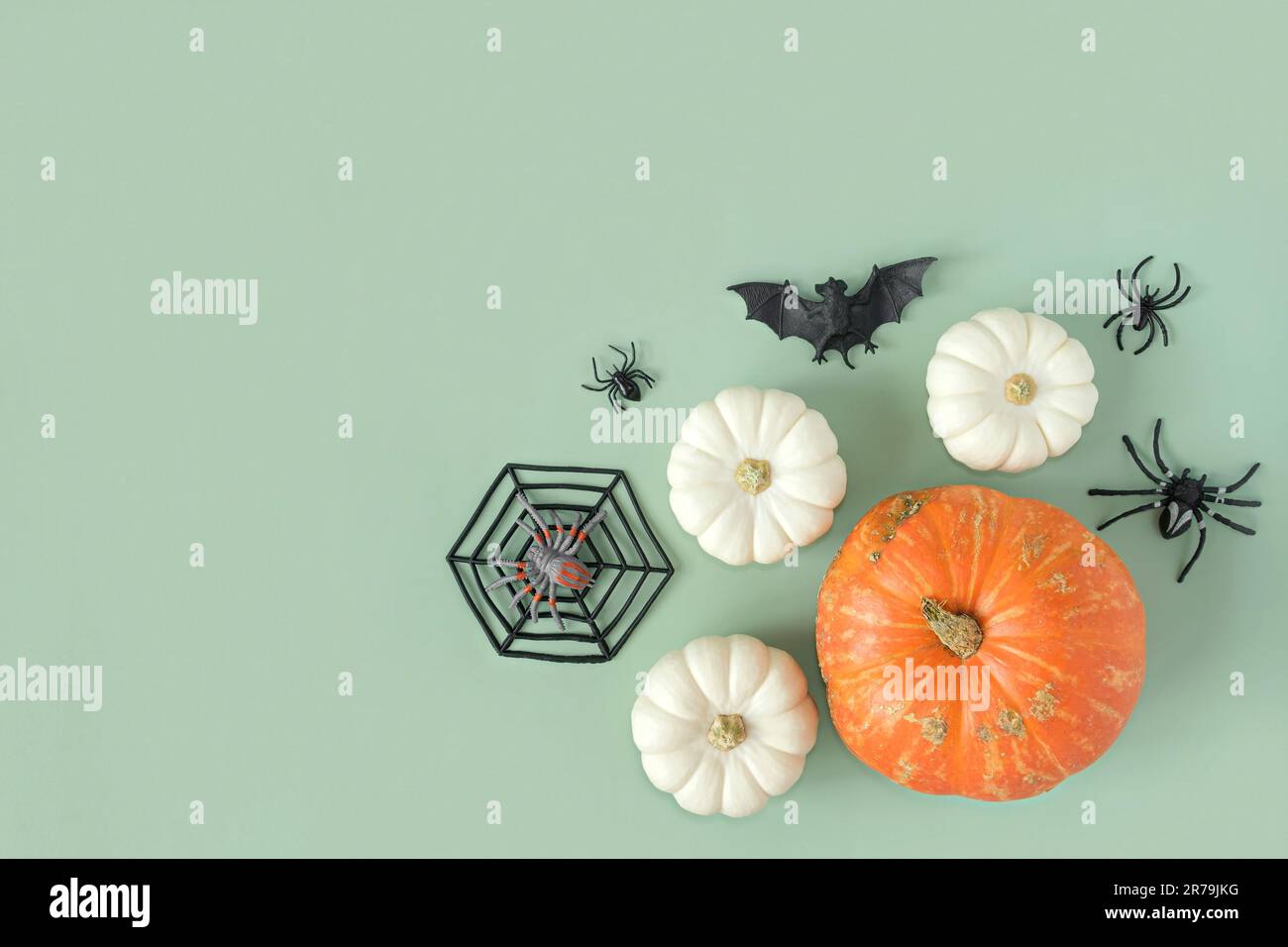 Halloween background with black bats, spiders, orange pumpkins. Modern ...