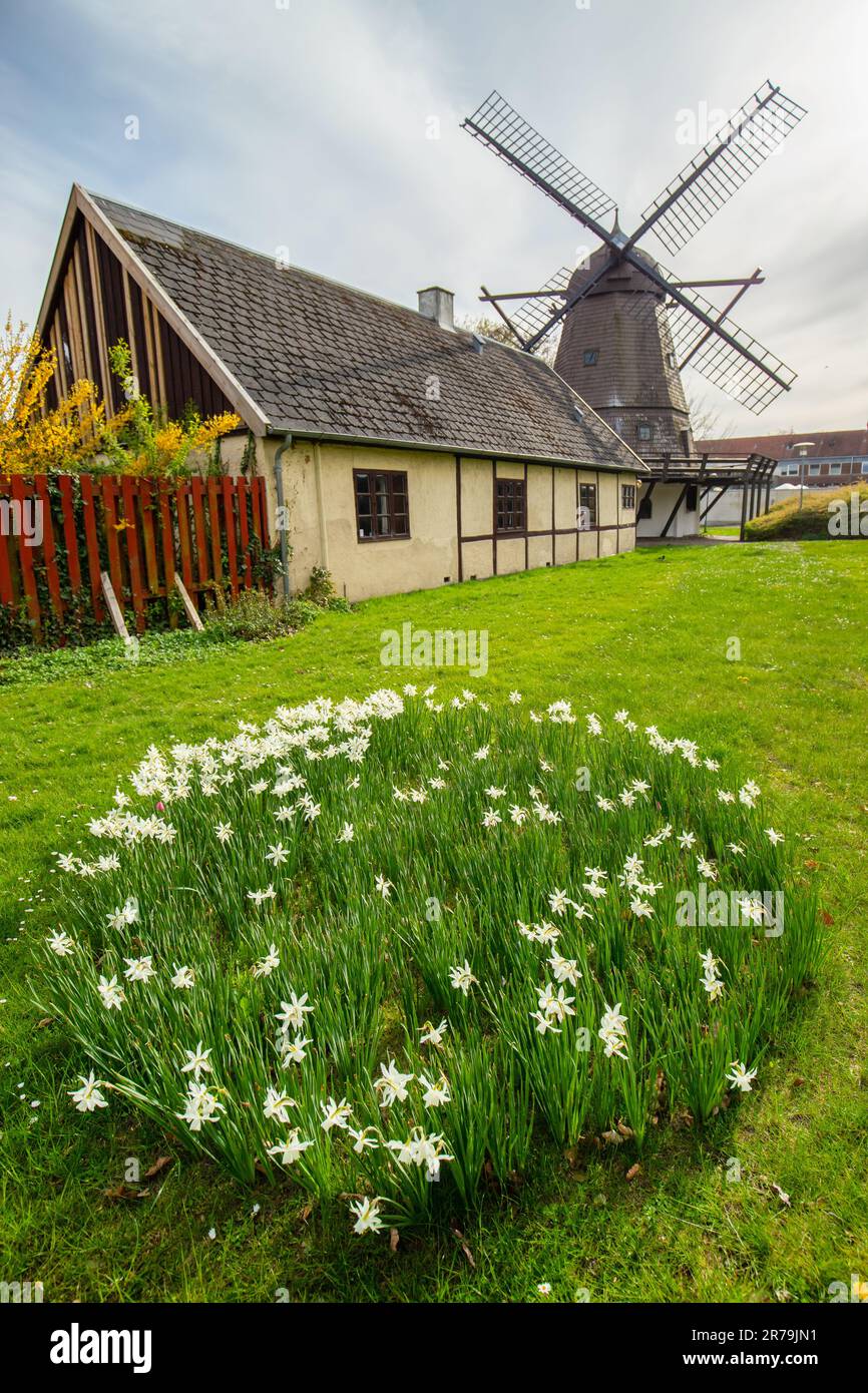 Old windmill of Brondby in Denmark Stock Photo - Alamy