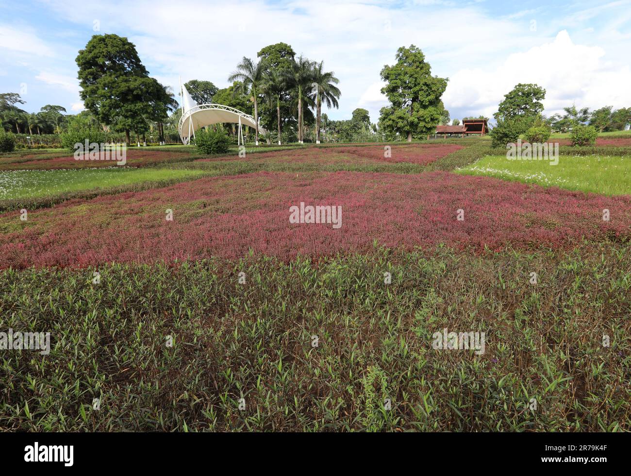Malabo. 12th June, 2023. This photo taken on June 12, 2023 shows the ...